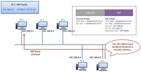 ARP Protocol Overview | What is ARP? | ARP Process | Header