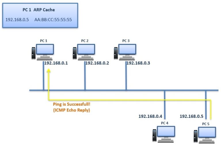 ARP Protocol Overview | What is ARP? | ARP Process | Header
