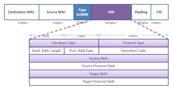 Arp Protocol Overview What Is Arp Arp Process Header