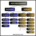 Top 13 BGP Path Attributes | BGP Path Selection ⋆ IPCisco