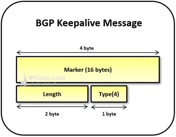 BGP Peers, BGP Sessions, BGP Messages ⋆ IpCisco