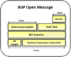 BGP Peers, BGP Sessions, BGP Messages ⋆ IpCisco