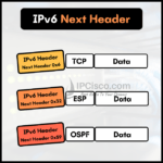 IPv4 and IPv6 Headers ⋆ IpCisco