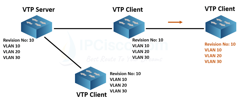 VLAN Trunking Protocol | VTP Overview ⋆ IpCisco