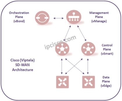 SD-WAN Cisco | Cisco SD-WAN Components ⋆ IpCisco