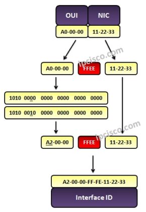 IPv6 Link Local Address | IPv6 Address Types ⋆ IpCisco