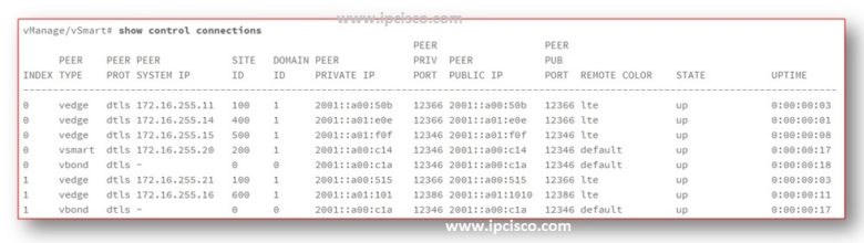 Cisco SD WAN | SD WAN Cisco Verification ⋆ IPCisco