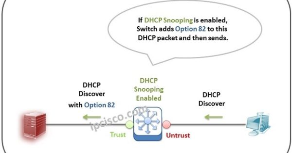 DHCP Option 82 ⋆ IpCisco