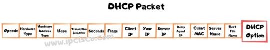 DHCP Option 82 | DHCP Relay Agent Information ⋆ IPCisco