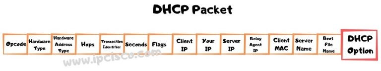 DHCP Option 82 | DHCP Relay Agent Information ⋆ IPCisco