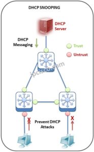 What is DHCP Snooping? | Trusted and Untrusted Ports ⋆ CCNA