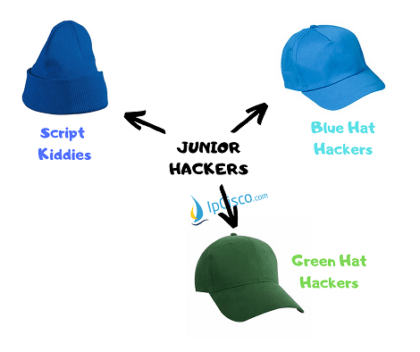 Types of Hackers | White | Red | Green | Grey | Blue | Black Hat * IpCisco