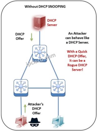 What is DHCP Snooping? | Trusted and Untrusted Ports ⋆ CCNA