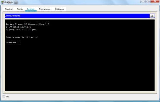 Cisco RADIUS Server Configuration on Packet Tracer ⋆