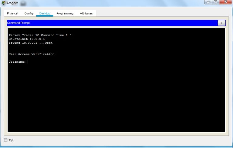 Cisco RADIUS Server Configuration on Packet Tracer ⋆ IPCisco Cisco RADIUS Server Configuration on Packet Tracer ⋆ IPCisco