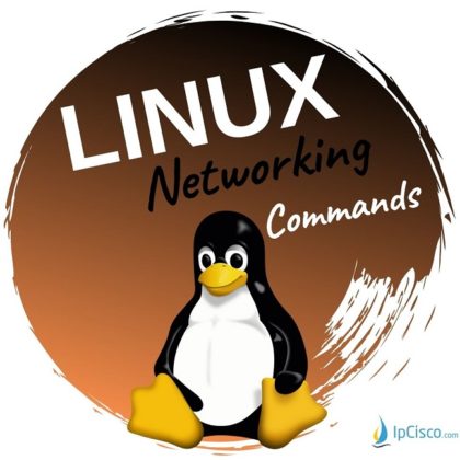 Top 35 Network Commands in Linux | arp | route | ip | netstat | dig⋆ IpCisco