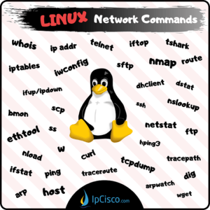 Top 35 Network Commands in Linux | arp | route | ip | netstat | dig⋆ IpCisco