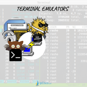 Terminal Emulator | Putty | SecuCRT | Open SSH | Kitty etc. IpCisco