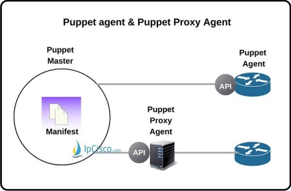 Puppet Software | Network Automation Tool | How Puppet Works ⋆ IpCisco