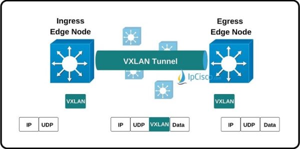 Cisco SD Access | SDA Underlay | SDA Overlay | www.ipcisco.com
