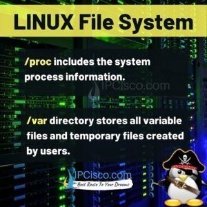 What is Linux File System? | 17 Different Linux File Directory! ⋆ IpCisco