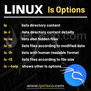 Linux ls command | Linux ls Options | -l | -a | -t | -S | File Listing ⋆