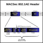 MACsec (Media Access Control Security) ⋆ What is MACsec?