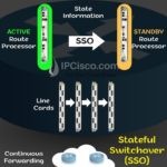 Cisco Stateful Switchover (SSO) | How SSO Works?⋆ SSO NSF