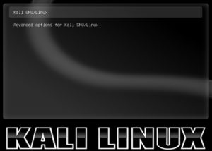 Download Kali Linux and VMware Workstation Player Installation