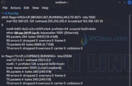 What is a mac address? | MAC Address Lookup | MAC Examples