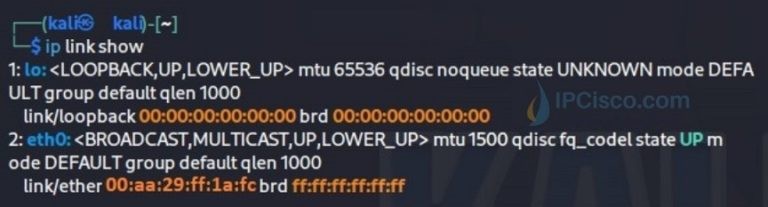 What is a mac address? | MAC Address Lookup | MAC Examples