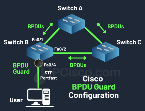 STP BPDU Guard ⋆ | Root Guard vs BPDU Guard vs BPDU Filter