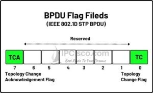 BPDU (Bridge Data Unit Protocol) ⋆ | Configuration & TCN BPDU