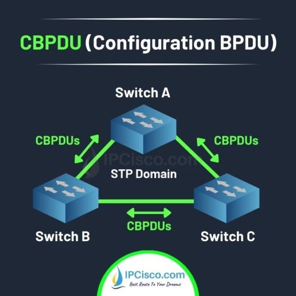 BPDU (Bridge Data Unit Protocol) ⋆ | Configuration & TCN BPDU