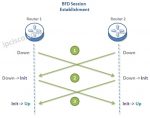 BFD (Bidirectional Forwarding Detection) ⋆ IpCisco