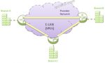 4 Metro Ethernet Types | E-Line | E-LAN | E-Tree | E-Access⋆