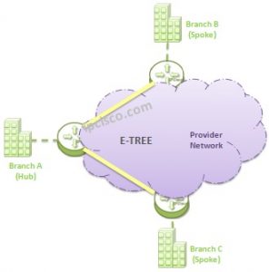 4 Metro Ethernet Types | E-Line | E-LAN | E-Tree | E-Access⋆