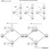 Network Protocols Protocol Cheat Sheets ⋆ IPCisco