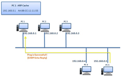 Address Resolution Protocol (ARP) | http://ipcisco.com