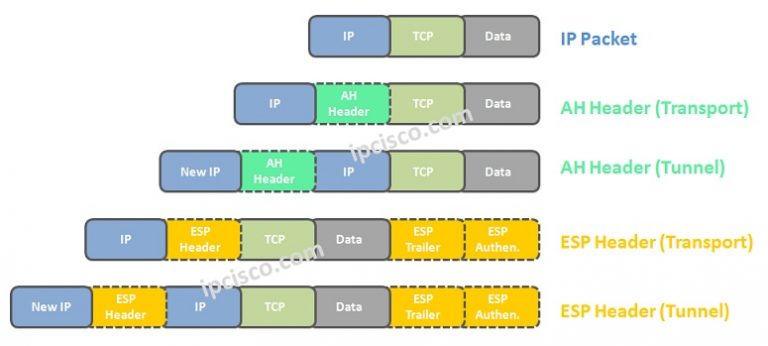 What is IP Sec? | IP Sec VPN | IPSec VPN Overview ⋆ IPCisco