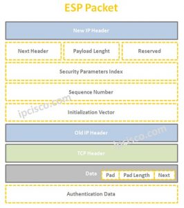 What is IP Sec? | IP Sec VPN | IPSec VPN Overview ⋆ IPCisco