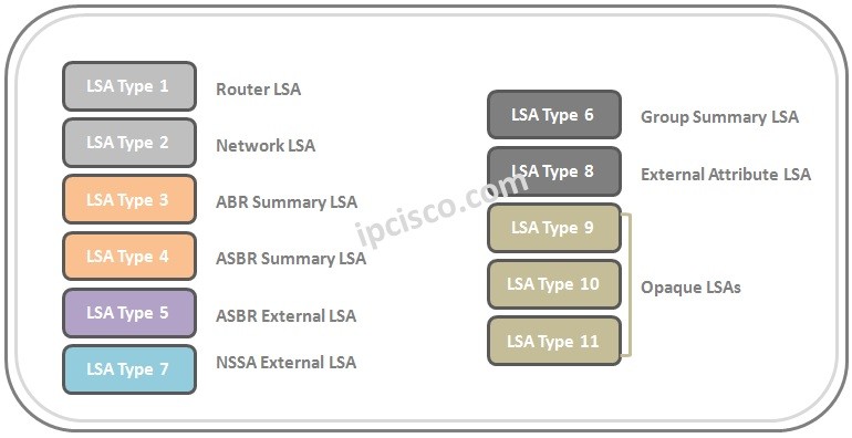 Ospf Study Notes Cheatsheet Part 4 Network Walks Academy STP Study ... Ospf Study Notes Cheatsheet Part 4 Network Walks Academy STP Study ...