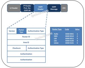 Packet Types in OSPF ⋆ IpCisco