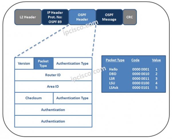 OSPF Packet Types ⋆ IpCisco OSPF Packet Types ⋆ IpCisco